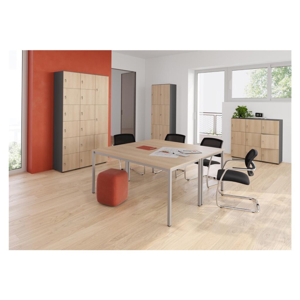 Schliessfachschrank 6 Fächer, 1 Abteil, Korpus: Weiss, Front: Eiche ...